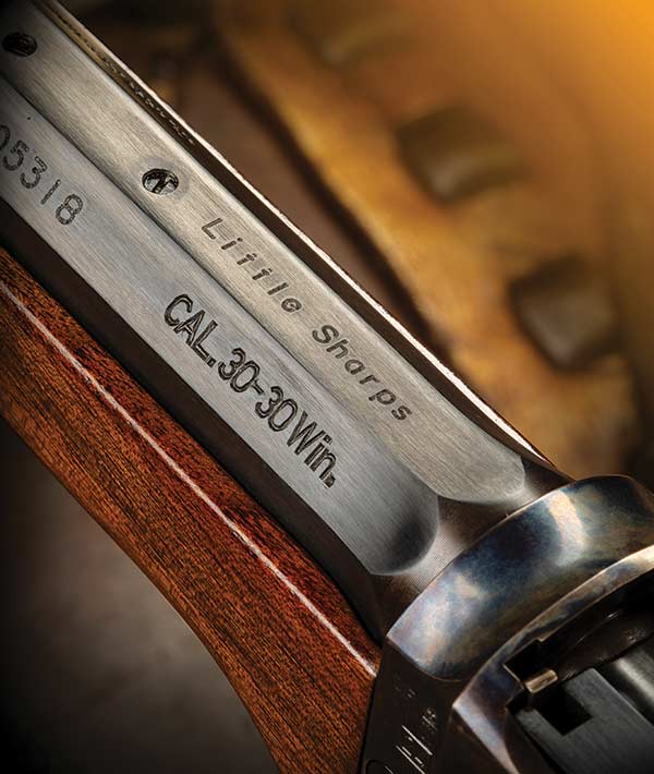GUNS Magazine Chiappa's "Little Sharps" - GUNS Magazine