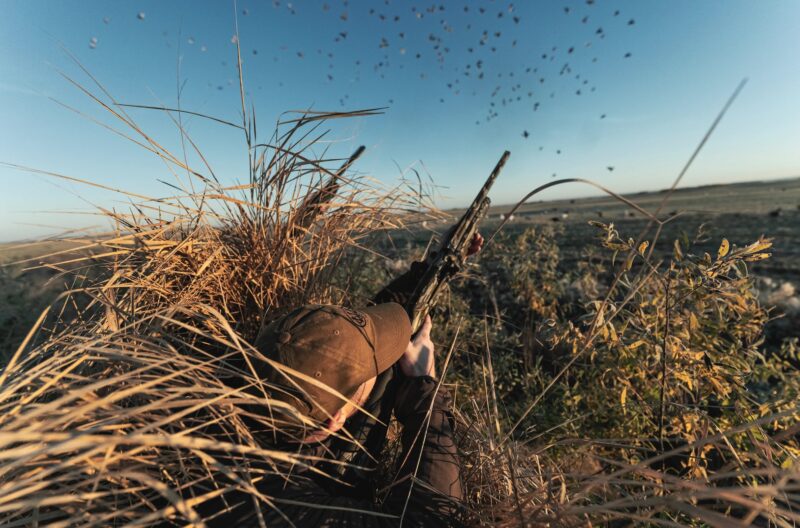 GUNS Magazine Beretta AX800 Suprema Waterfowl Shotgun - GUNS Magazine